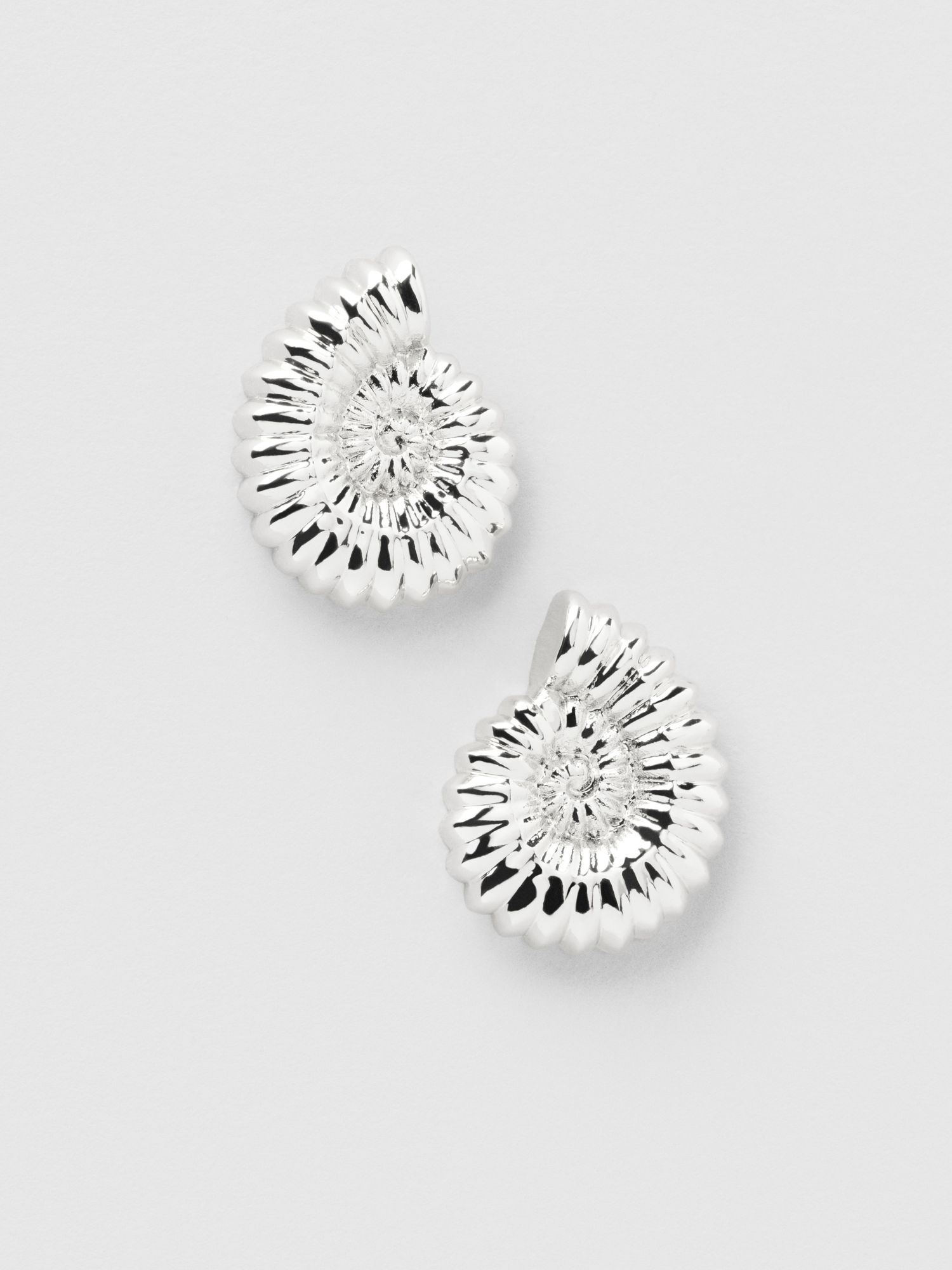Seashell Studs