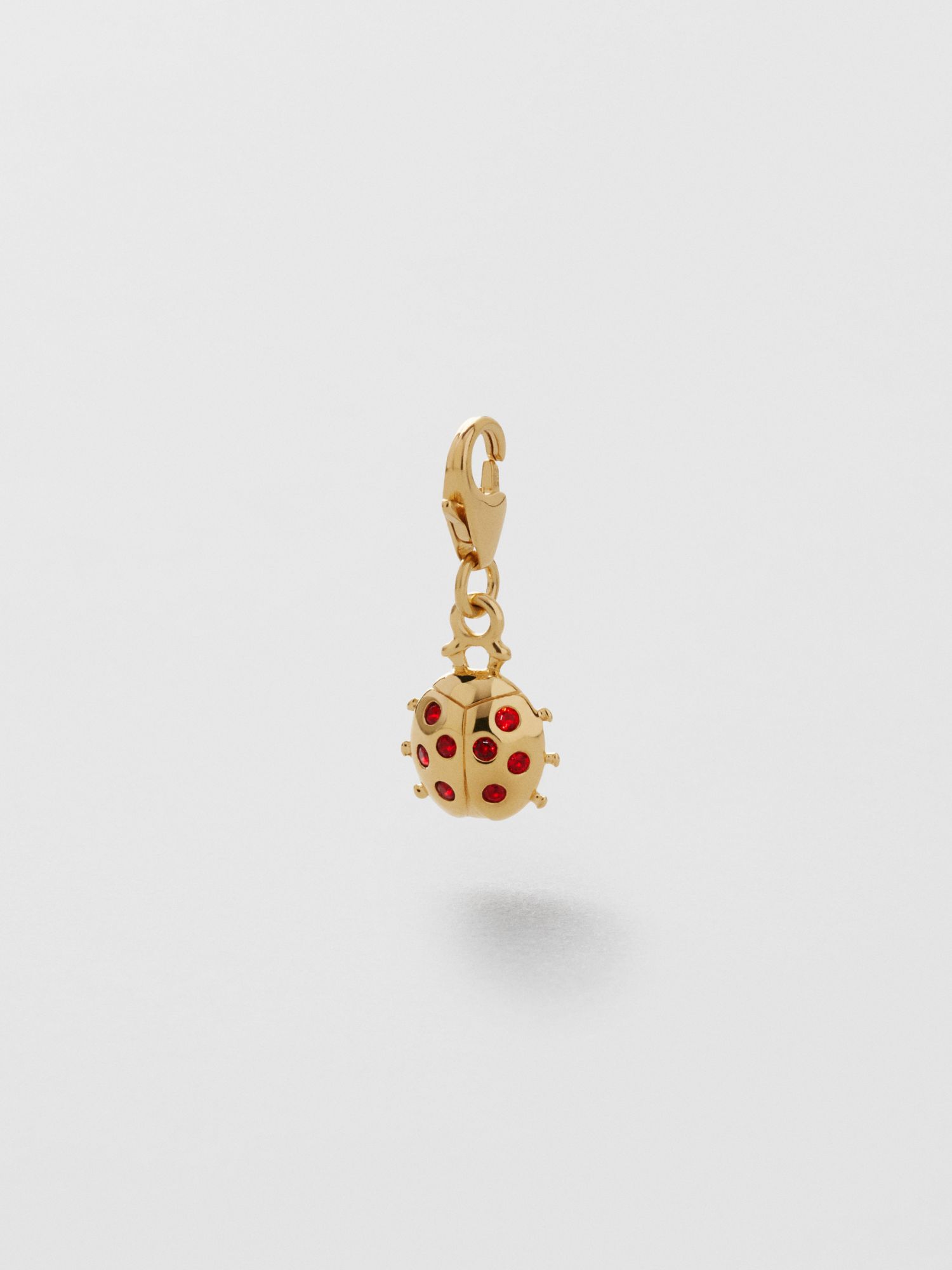 Red Ladybug Charm